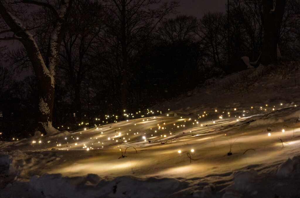 Firefly Field - Nobel Prize Museum
