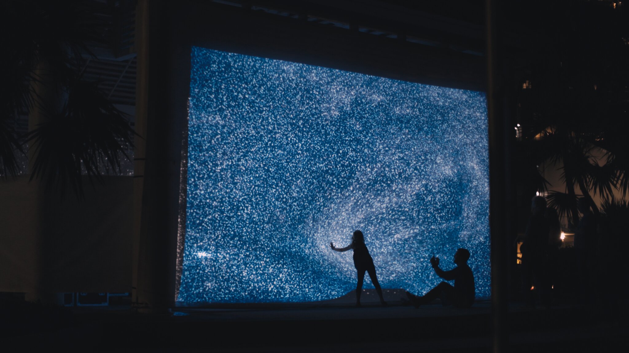 Master class: interactive light art - Nobel Prize Museum